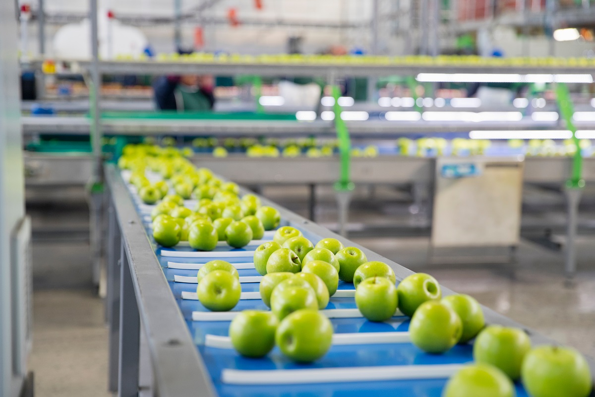 Ensuring Health and Safety in Food Companies - Blue Jean Nation